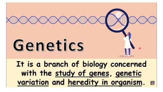 Confidentiality in the workplace | PPTX | Career Advice | Careers