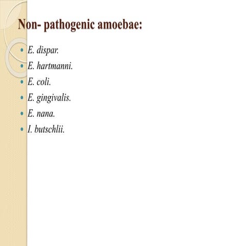 non-pathogenic amoeba.pptx