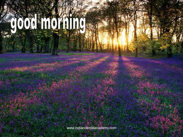 Steps Of Cavity Preparation | PPTX