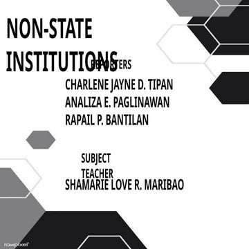 Report on the Non-state institutions ppt.pptx