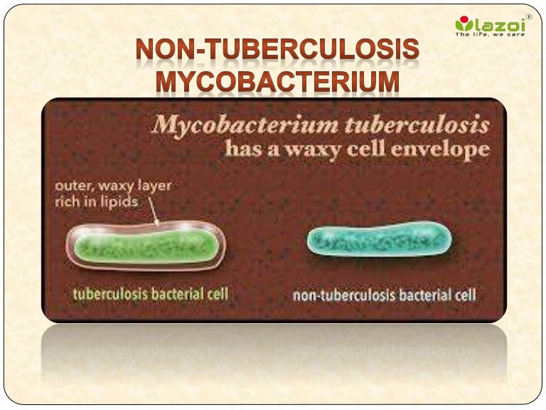 Non tuberculosis mycobacterium