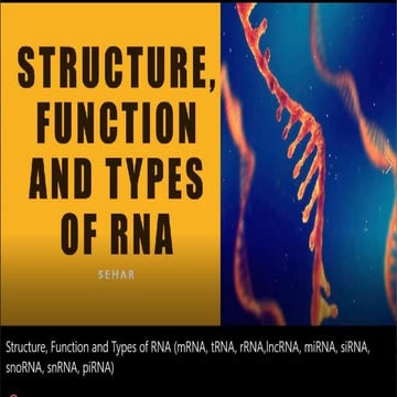 The structure and the function of different types of RNA | PPTX
