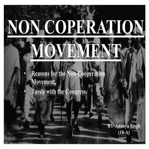 NON COPERATION MOVEMENT.pptx