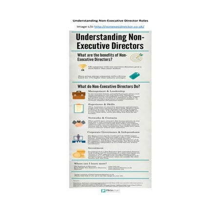 Non Executive Director Roles | PDF
