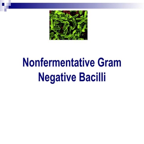 Non-Fermentative Gram negative bacilli | PPTX