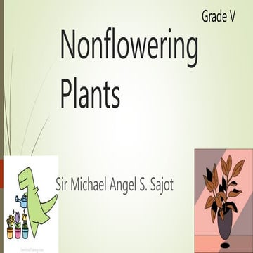 Nonflowering plants | PPTX
