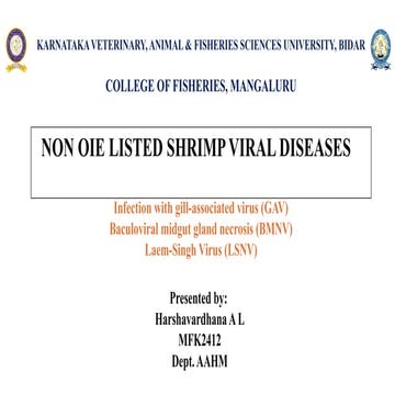 Oie listed shrimp viral diseases in AQC .pptx