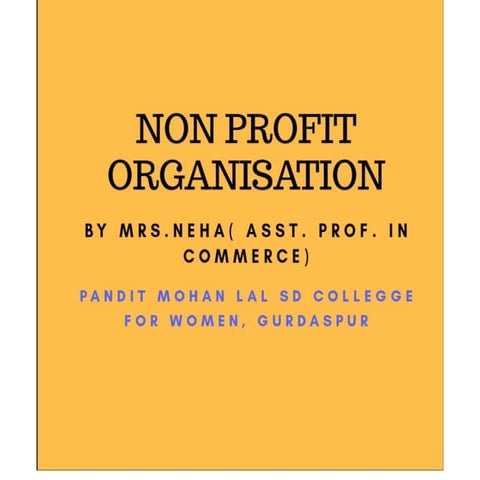 Non profit organisation | PDF