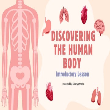 Discovering the Human Body: Exploring Major Systems and Their Functions ...