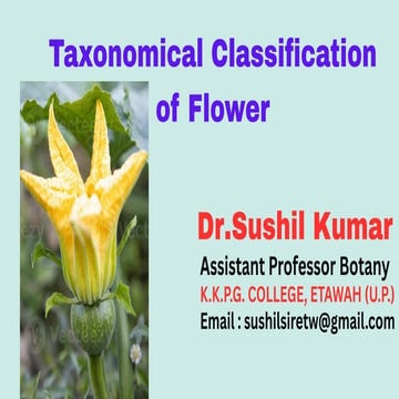 Edema_Medical_Theme_Presentation.pptx_20260209_115145_0000.pptx