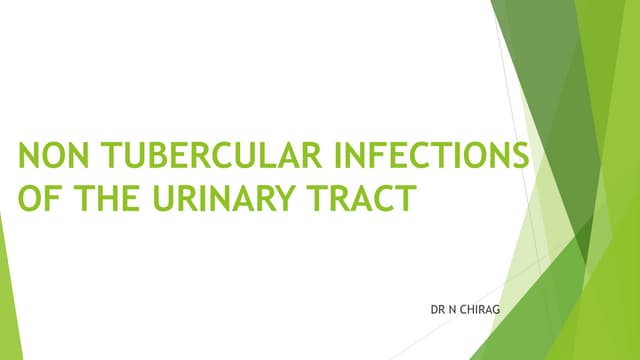 Diseases of ureters | PPTX