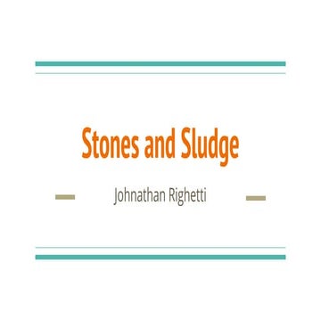 Noon conference | PDF