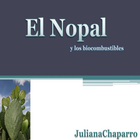 Nopal | PPTX