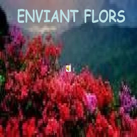 Enviant Flors | PPT
