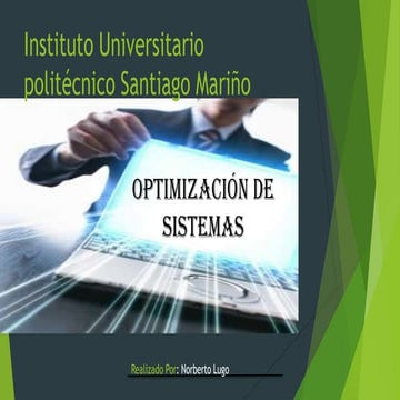 optimizacion de sistemas | PPTX | Programming Languages | Computing