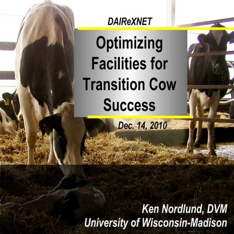 Optimizing Facilities for Transition Cow Success- Ken Nordlund | PPT