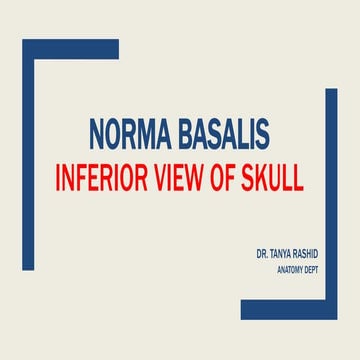 Anastomosis around shoulder joint, anatomy | PPTX