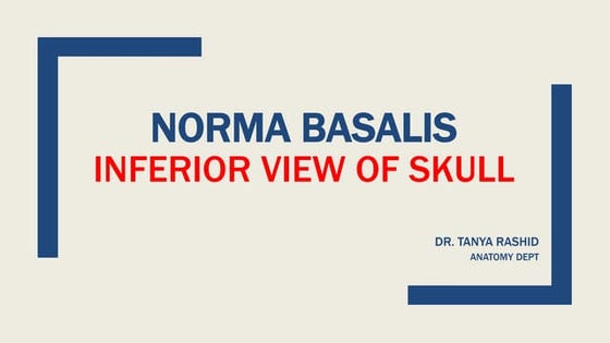 Anatomy of mandible | PPT