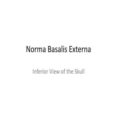 Norma basalis externa | PPTX