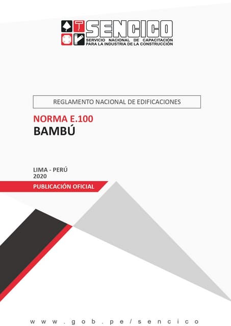 Norma E 100 Bambú Pdf
