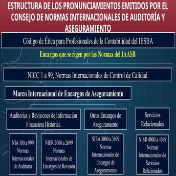 Guia niea 3000 | PDF