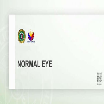NORMAL-EYE.pptx.pdf in Nursing Community | PDF