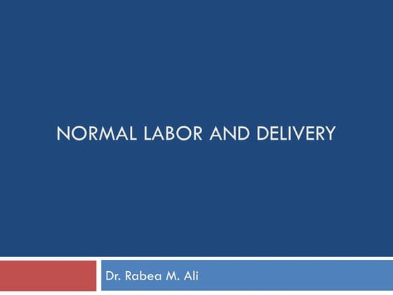 Pregnancy & Different Stages | PPT