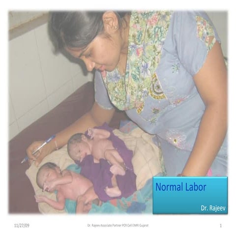 Normal Labor | PPT