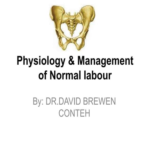 NORMAL AND ABNORMAL LABOUR.mmmmmmmmmmmmmpptx | PPTX