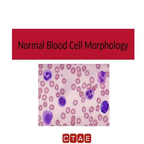 Normal human Blood Cell Morphology.ppt