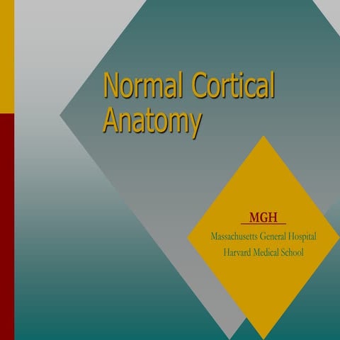 Normal Cortical Anatomy.pptx