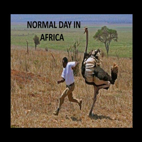 Normal day in africa | PPTX