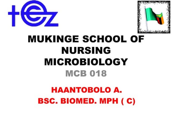 Normal flora | PDF | Skin and Dermatology | Diseases and Conditions