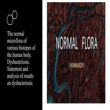 Normal Flora.pptx