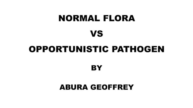 Normal Flora of Human Body-1.ppt