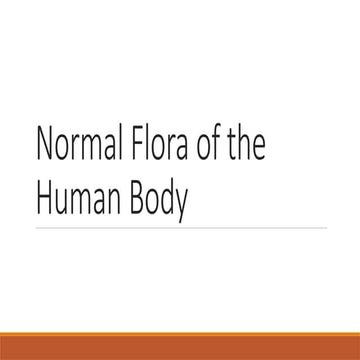 Normal flora (human).pptxgfbsfvdfgvrtgbfdg | PPTX