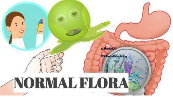 Explain the basic relationship between humans and microorganisms.pdf