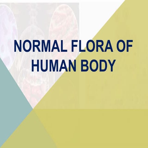 normal floura of human body skin, digective and respiratory system | PPTX