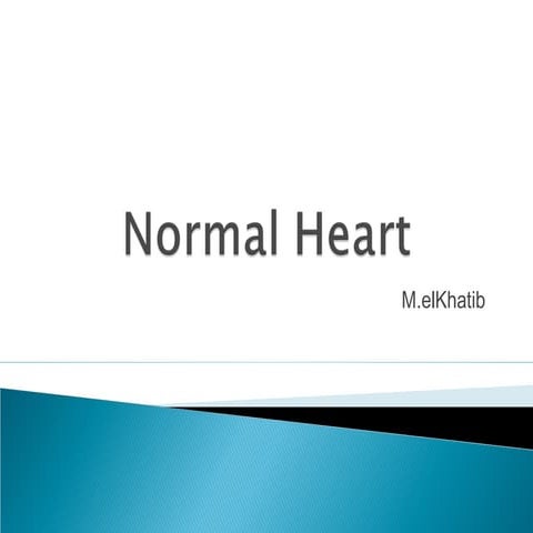 Mammal Heart Dissection | PPTX