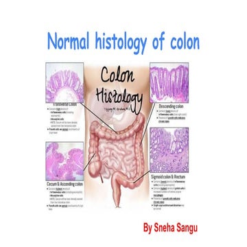 Normal histology of colon- a short approach.pptx