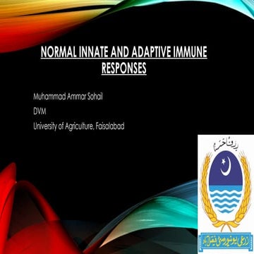 Normal Innate and Adaptive Immune Responses.pptx