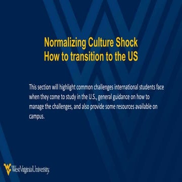 Normalizing Culture Shock | PPTX
