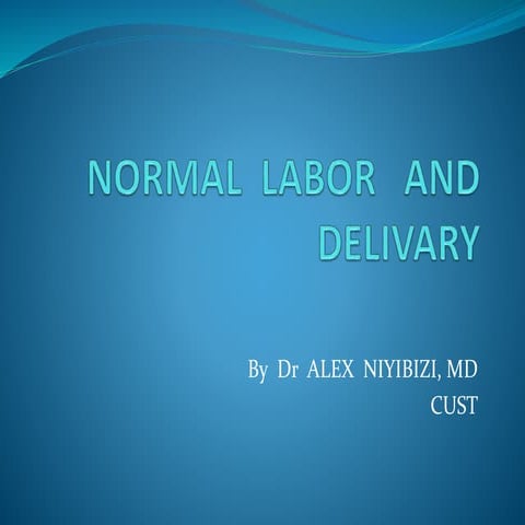 Normal labor | PPT