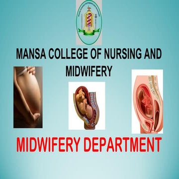 NORMAL_LABOUR_-_integrated reproductive health | PPT