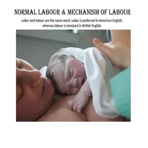 Normal Labour 1.pptx. Discuss the Normal labour with pictorial slides | PPTX