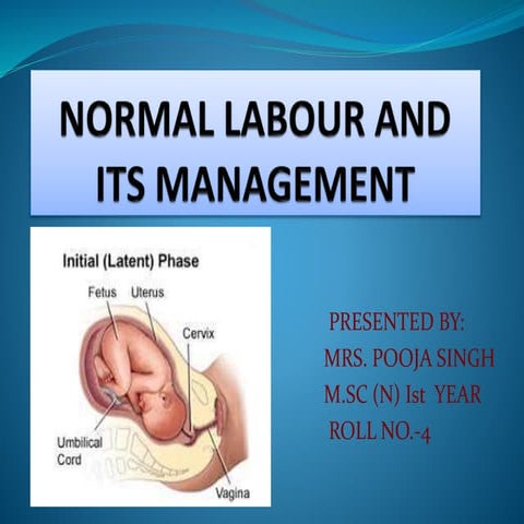Normal labour and management | PPTX | Pregnancy | Reproductive Health