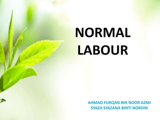 Stages of labour | PPTX | Pregnancy | Reproductive Health