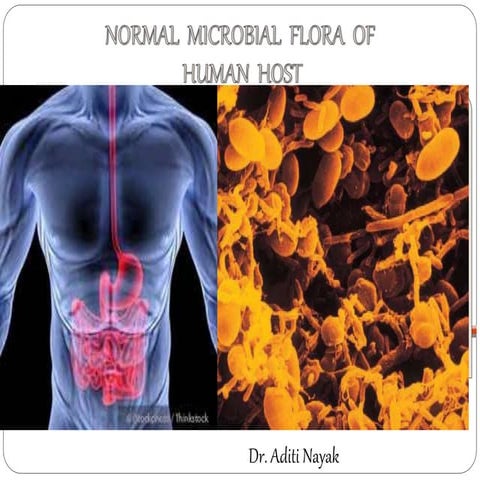 NORMAL MICROBIAL FLORA.pptx