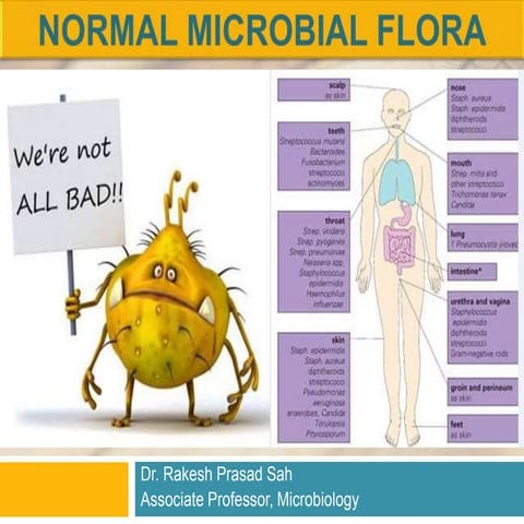 Microbial normal flora lecture 2.ppt