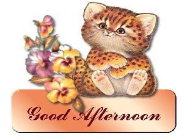 Urinary Acidifiers and Alakalinizers.pptx